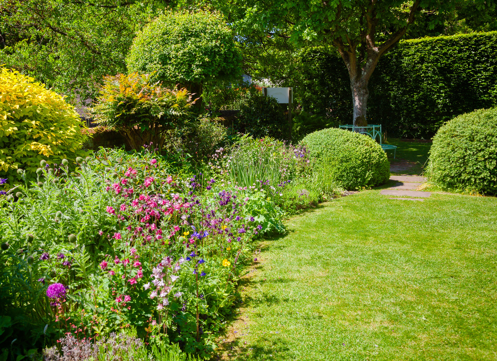 How can you improve your garden in time for Summer? - Sense About ...
