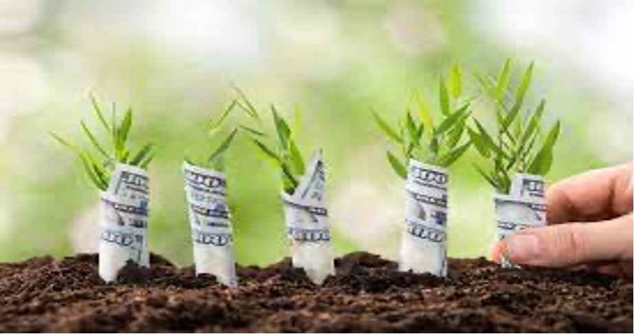 How to find a seed investor - Sense About Science Blog