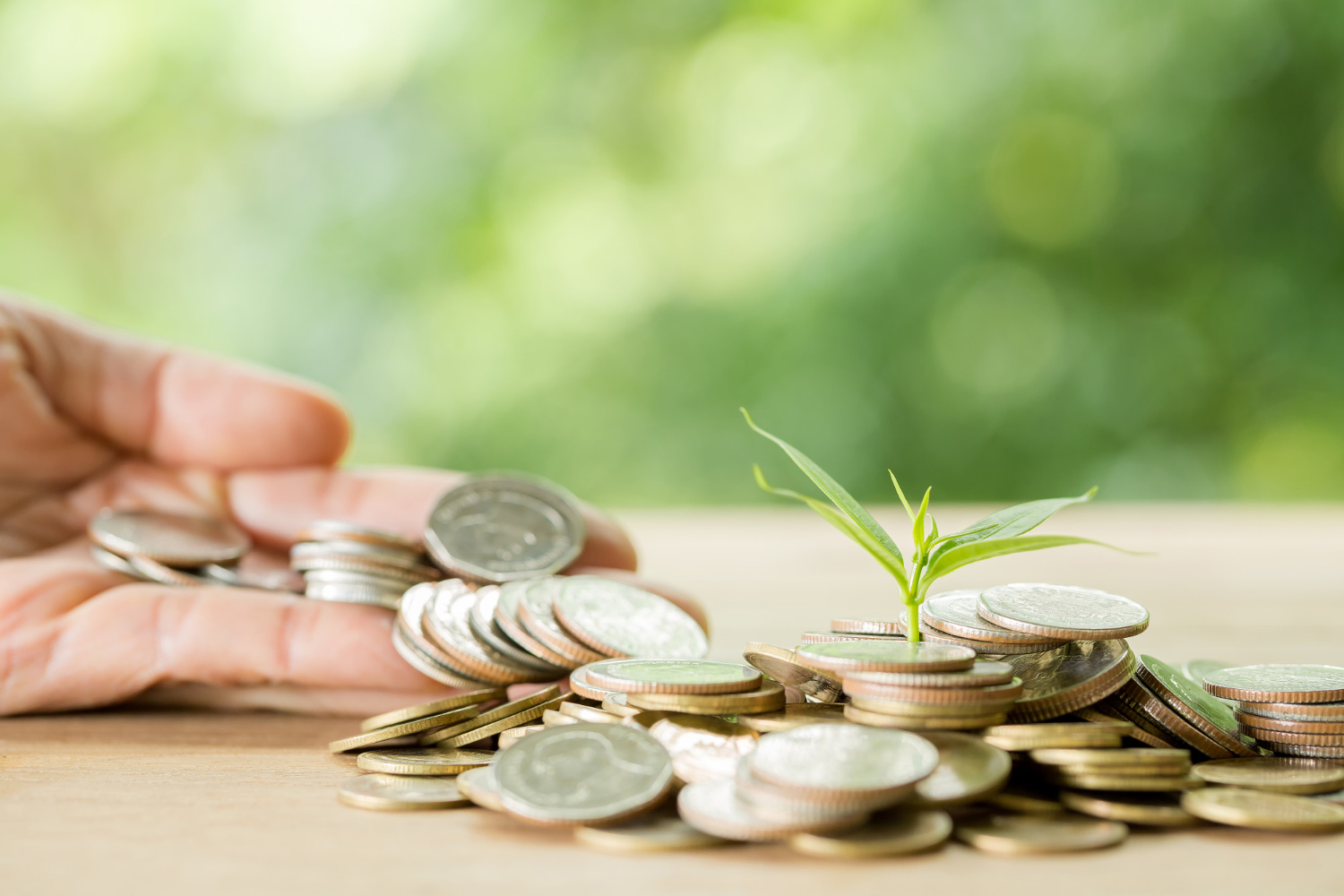 LFtrade.net Review: Building Wealth on a Teacher's Salary